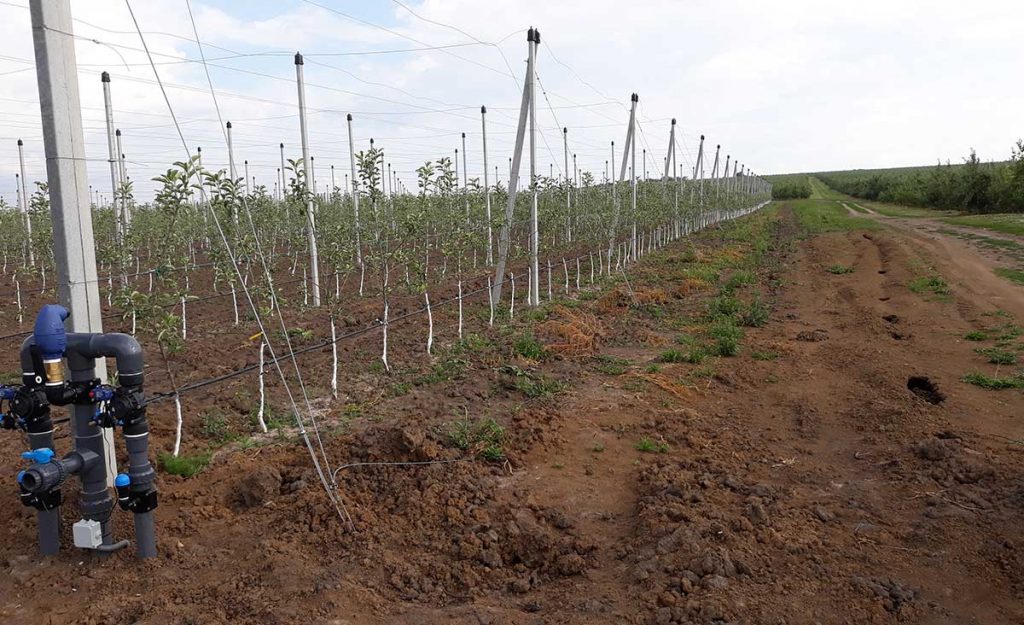 Sistem de irigare - Agrodor