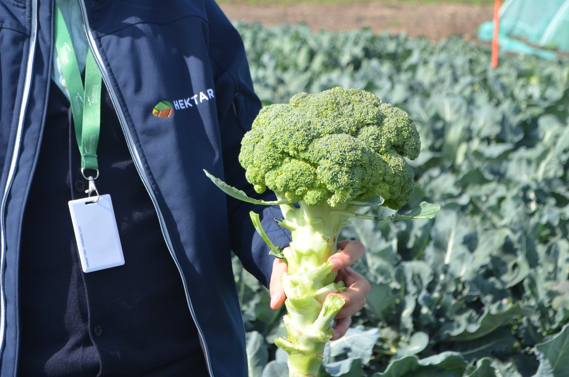 O vizită productivă la AGROSEL - HOME GARDENING - Agrodor